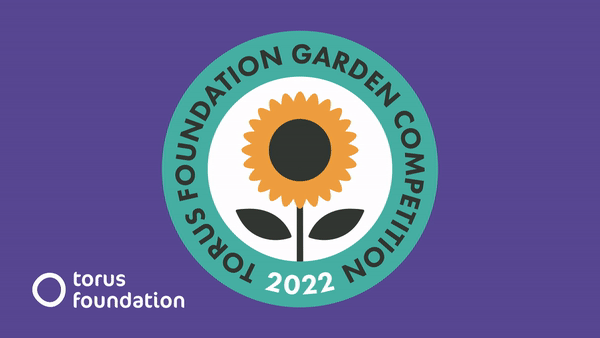 Torus Foundation - Home