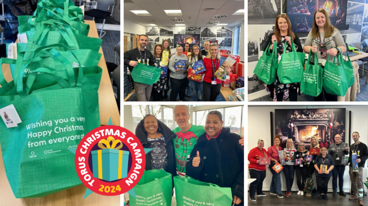 Torus Foundation - About Us